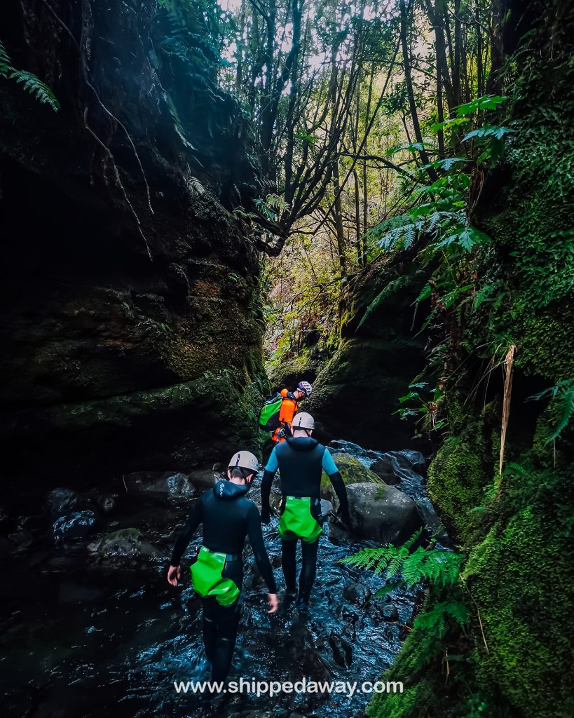 Canyoning in Epic Madeira Island: All You Need To Know (Ultimate Guide ...