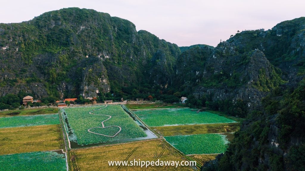 How to visit Hang Mua Caves Viewpoint: Guide & Personal Tips