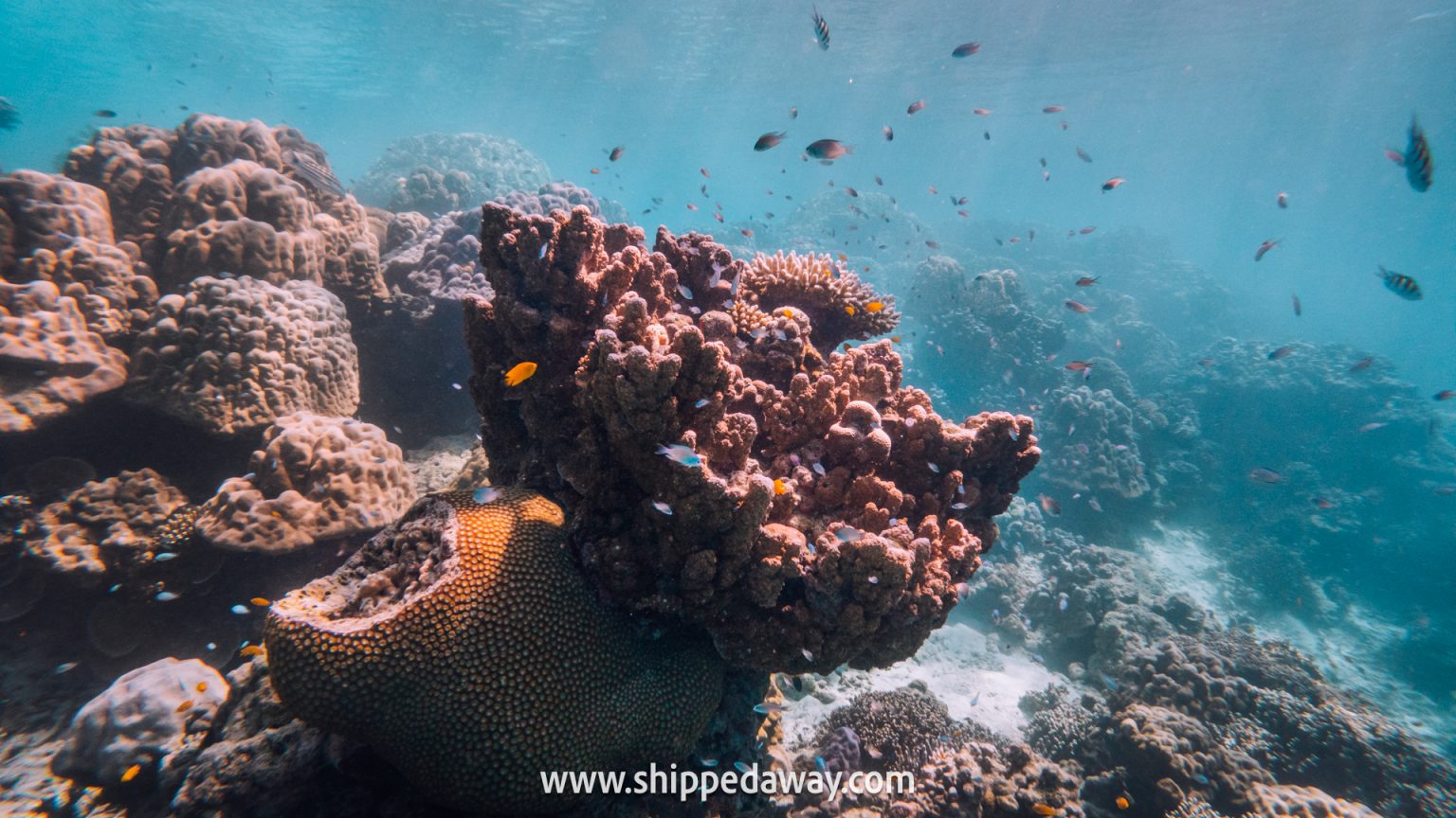 Surin Islands Day Trip from Phuket or Khao Lak