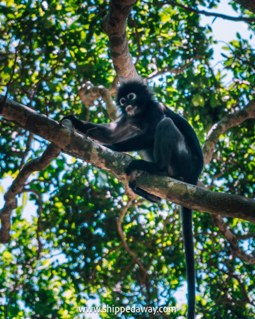 22 Things & Activities in Koh Phangan Not To Miss: Tips + Photos
