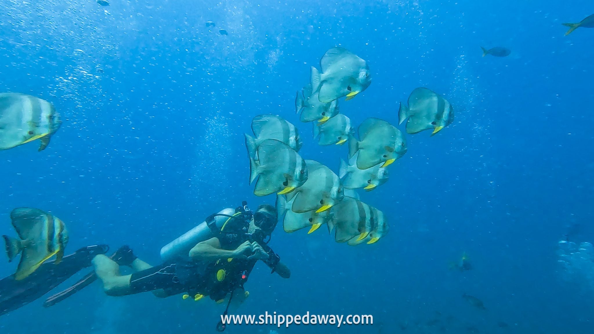 Koh Tao Island Guide: 15 Things To See & Do + Tips