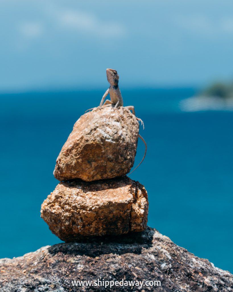 Promthep Cape, The Best Sunset Viewpoint in Phuket
